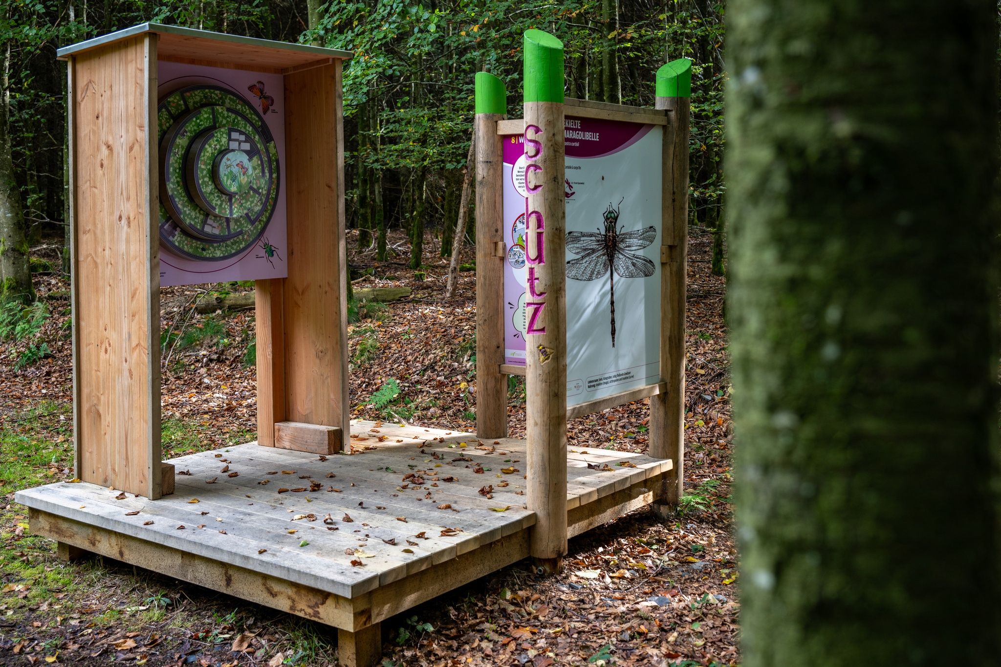 Insect Trail Hachiville - Visit Eislek